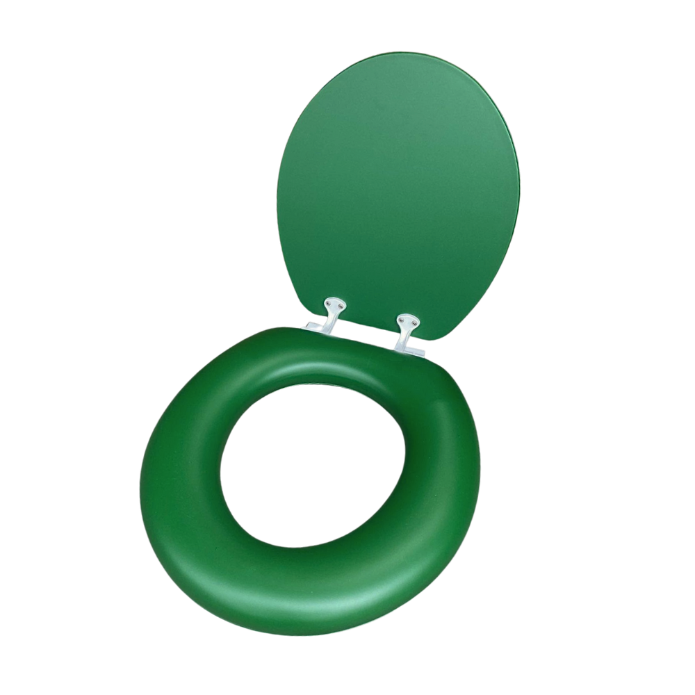 Green padded toilet seat store